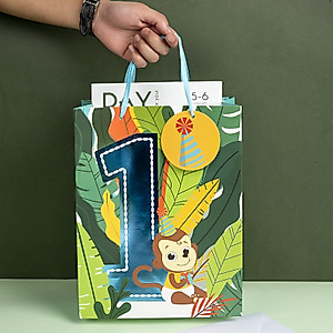 MAYPLUSS 13" Large Gift Bag for One Birthday with Birthday Card and Tissue Paper