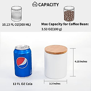 77L Food Storage Jar, 10.13 FL OZ (300 ML), Ceramic Food Storage Jar with Airtight Seal Bamboo Lid - Modern Design White Ceramic Food Storage Canister for Serving Tea, Coffee, Spice and More