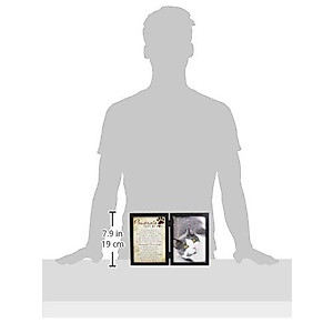 Pawprints Left By You Memorial 5x7 Frame for Cat with Pet Tag