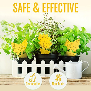 Fruit Fly Traps Indoor (Shapes, 24-Pack), Yellow Sticky Traps for Gnats, Gnat Killer for Indoor - Fruit Fly Trap for Kitchen - Fungus Gnat Traps House Plants, Yellow Sticky Fly Traps