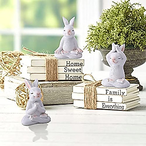 Rabbit Statue Fairy Garden Decor - 2.1" Set of 3 Tiny Gifts for Women/Mom/Grandma/Daughter/Sister, Gift Ideas for Christmas, Best Easter Gifts, Bunny Figurine for Home Table/Shelf Decor