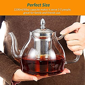 Glass Teapot, 40oz/1200mL Glass Kettle with Removable Stainless Steel Infuser for Blooming Tea & Loose Leaf Tea, Gooseneck Tea Pot, Microwave & Stovetop Safe, Gift Box for Tea Maker