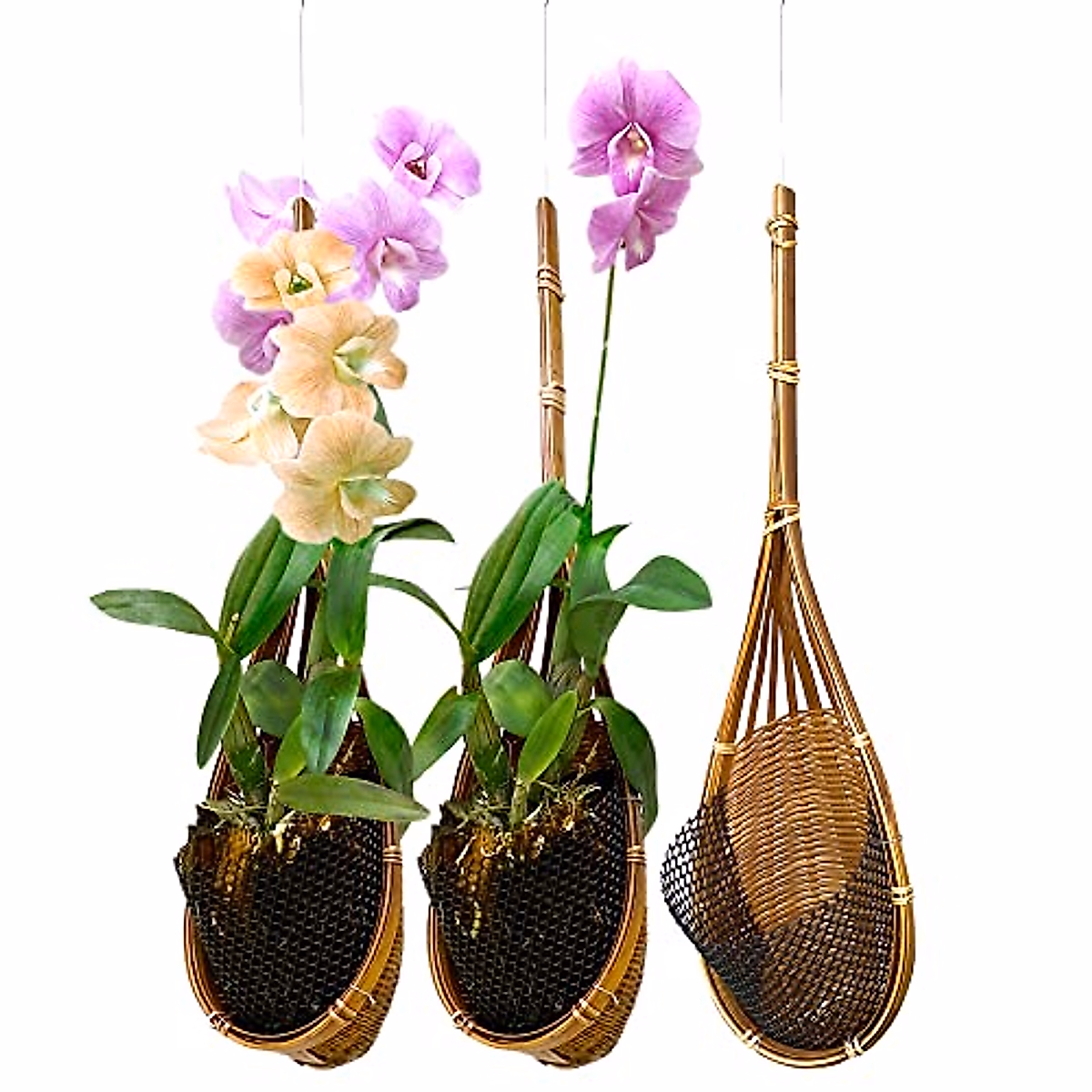 PANWA Handmade 100% Thai Bamboo Woven 4 Inch Hanging Orchid Basket - Set of 3 Multi-Purpose Bird Nest Style Plant Hangers for Gazebo - Indoor/Outdoor Flower Planter (Natural Brown)