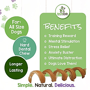 Nature Gnaws Bully Stick Springs for Dogs - Premium Natural Beef Dental Bones - Long Lasting Curly Dog Chew Treats for Aggressive Chewers - Rawhide Free 25 Count (Pack of 1)