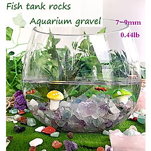 Fluorite Aquarium Gravel Rocks Natural Tumbled Healing Crystal Chips Bulk Gemstones Tumbled Crushed Stones for Fountain Vase Filler Planters Decorative Fish Tank Potted Reiki Energy Balancing 0.44lb