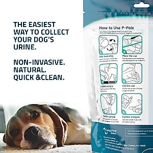 CheckUp P-Pole - Dog Urine Collection Pack - Telescopic Pole, Cups, Pipettes & Vials - A New Innovative, Do It Yourself Approach to Collect Your Dogs Urine at Home and Have it Ready for Testing