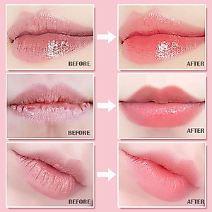 Bee Lip Balm Honey Pot, 2 PCS Strawberry & Honey Lip Masks Hydrating Prevention Dry and Cracked Lip Scrubs Exfoliator,Lip Sleep Mask Reduces Lip Lines,Lip Exfoliating BeeLip Balm Sleeping Lip Mask