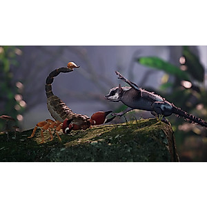 Away: The Survival Series