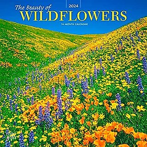 The Beauty of Wildflowers | 2024 12 x 24 Inch Monthly Square Wall Calendar | Sticker Sheet | StarGifts | Outdoor Plant Floral