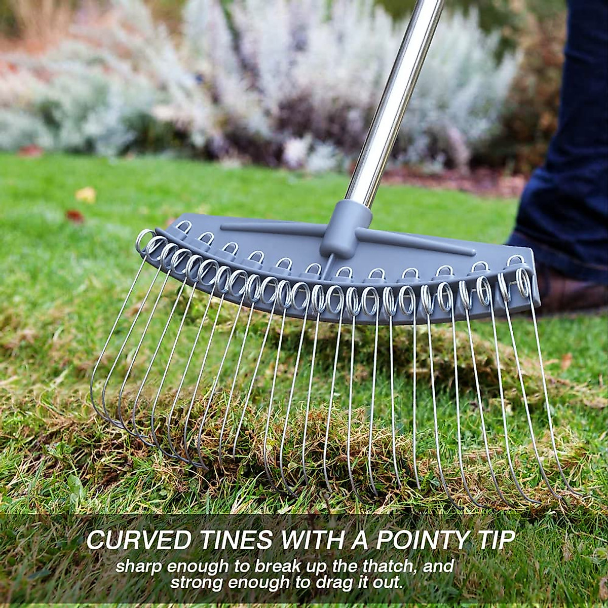 Colwelt Thatch Rake -24 Steel Tines, Dethatching Rake with 54’’ Lightweight Stainless Steel Handle, Yard Dethatcher Rake for Lawn(Pine Needles, Dead Grass, Thatch, Leaves, Mulch)