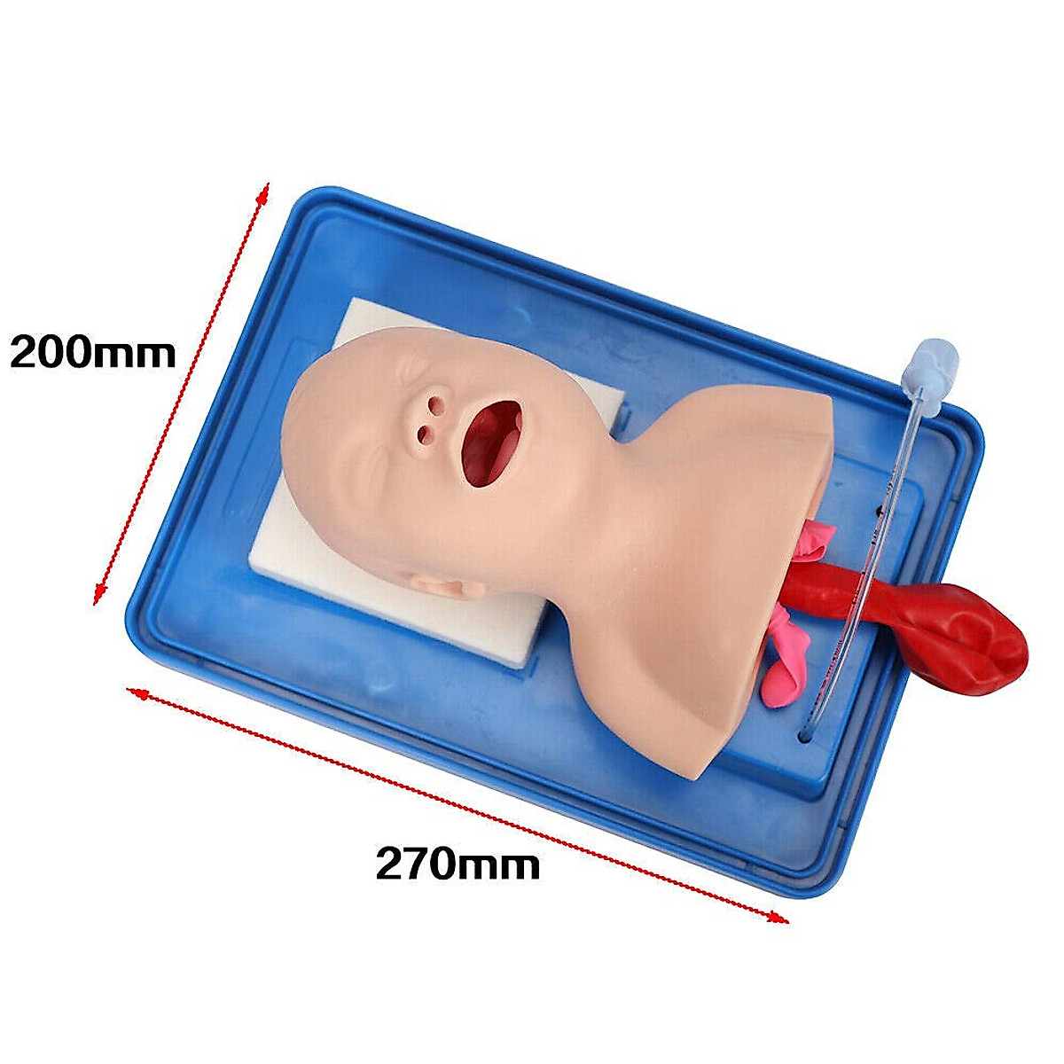 PVC Intubation Manikin Study Teaching Model Infant Baby Model Airway Management Trainer Tool with Tube (US Stock)
