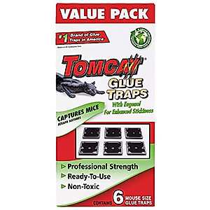 Tomcat Mouse Size Glue Traps, 18-Pack