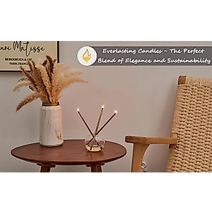 Candle That Never Melts Ever Lasting Candle Refillable Candle Luxury Scent Home Decor Wedding Housewarming Home Decor Aromatherapy Gifts Holiday and Event (Coconut&Lime)