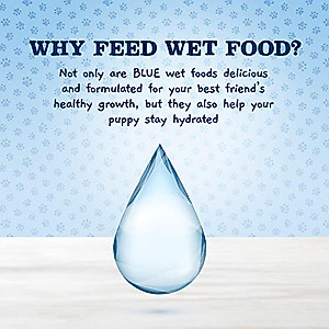 Blue Buffalo Baby BLUE Healthy Growth Formula Grain Free High Protein, Natural Puppy Wet Dog Food, Turkey and Potato Recipe 12.5-oz Cans (Pack of 12)