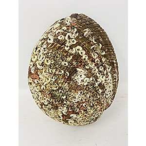 Bholi Sage Plus Sage Smudge Kit Abalone Shell Bowl 6-7 Inches Used for Burning Sage, Home Decor or Accent Piece