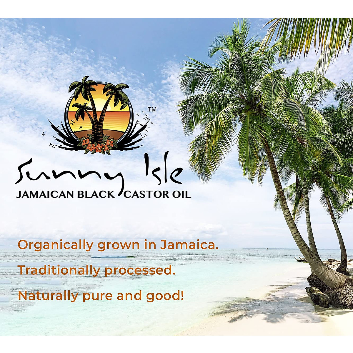 Sunny Isle Jamaican Black Castor Oil 8oz - Plastic PET Bottle | Hair Growth Oil, Eyebrows & Eyelashes, Scalp and Nail Care | Skin Conditioning