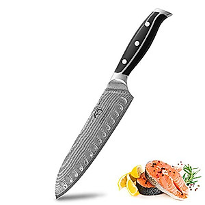Damascus Kitchen Knife, 7 Inch Santoku Knife Professional Kitchen Knife Forged with VG10 Super Steel 67-Layer Damascus, Non-slip ABS Ergonomic Triple Rivet Handle, Razor Sharp Lightweight Multipurpose