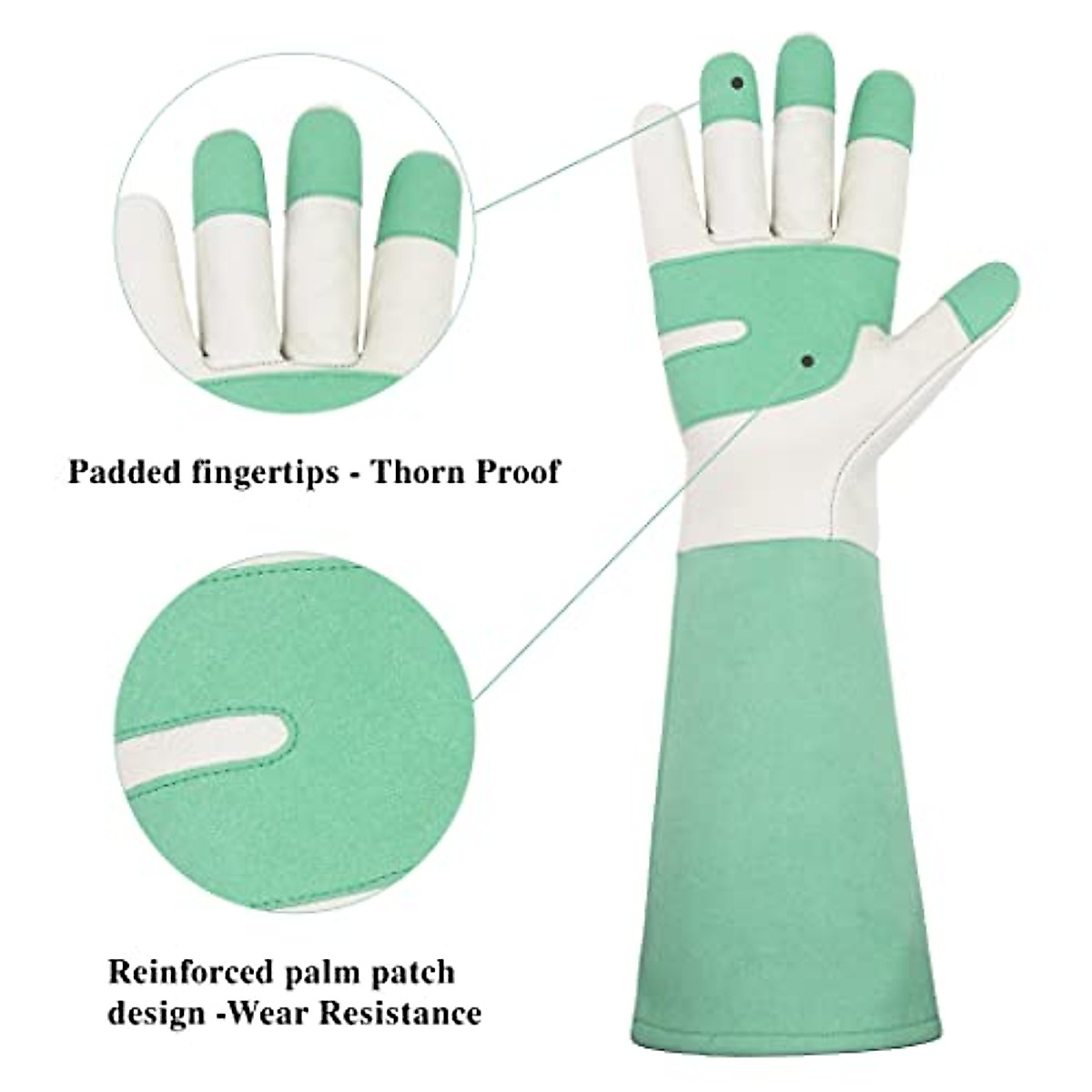 HANDLANDY Long Garden Gloves Thorn Proof for Women & Men, Rose Pruning Gauntlet Gloves, Best Protection Tool for Gardener (Green, Small)