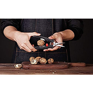 Criativo live Seafood Scissors, Lobster Scissors, Crab Scissors, Seafood Tools 4Pcs and Lobster Forks 4 Pcs