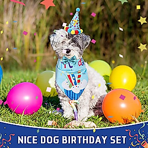 Dog Birthday Party Supplies Birthday Boy Girl Cake Bandana Triangle Scarf Clothes Shirt Cute Dog Hat Dog Bow Tie Collar with 0-8 Numbers for Dog Puppy 1st Birthday Party Outfit(Cute Style)