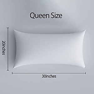 HAPPYMOON Pillowcases with Zipper Queen Size - Zippered Microfiber Pillow Cases for Hair and Skin 2 Pack, Soft Breathable Brushed Pillow Covers Set of 2, 20 X 30 Inches, Teal