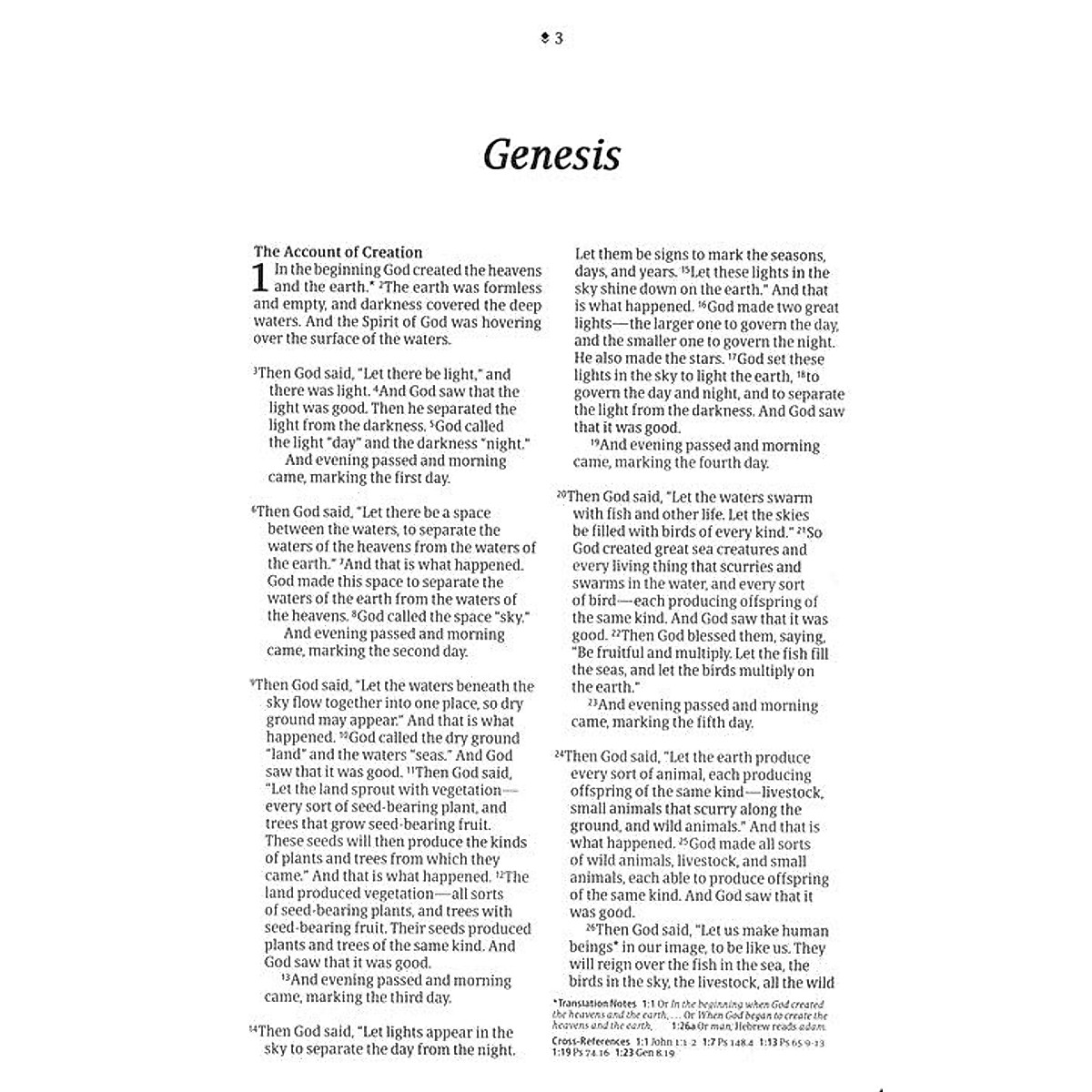 Personalized NLT Thinline Reference Bible Filament Enabled Edition Soft Leather-look, Rustic Brown, Baptism, Graduations, New Living Translation