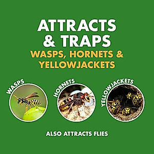 Spectracide Wasp, Hornet & Yellowjacket Trap, Hanging Wasp & Hornet Trap with a Quick-Drown Formula That Submerges & Kills Insects, 1 Count