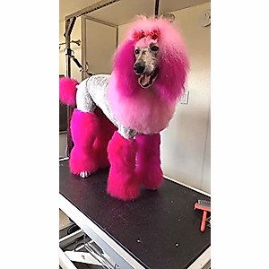 CRAZY LIBERTY Pets Hair dye (Pink), Permanent Dog Hair Dye, Non-Toxic Pet hair Dye, last more 24 washes.