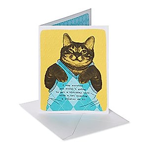 American Greetings Funny Birthday Card (Cat Wearing Argyle Sweater)