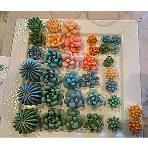 Navani Succulent Silicone Mold, Cactus Resin Mold, Candle Mold Silicone for DIY Handmade Soap, Candle, Cake Decoration - 9 Pcs