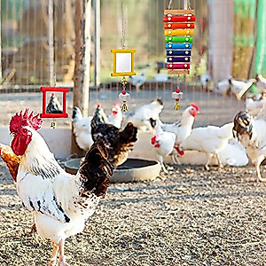 5 Pieces Hen Chicken Toys Chicken Coop Mirrors Colorful Wooden Xylophone Bird Toy Hanging Parrot Grindstone Bird Beak Stones Dangling Bird Toys with Bells for Chicks Parrots Birds Hens