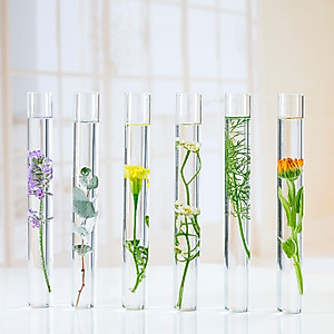 Threehoney 120 Pcs Plastic Test Tubes with Rack Set 16 x 100mm Test Tube with Caps and 60 Holes Tubes Rack for Scientific Experiments Candy Liquid Spice Seed Storage Party Decorations (White)