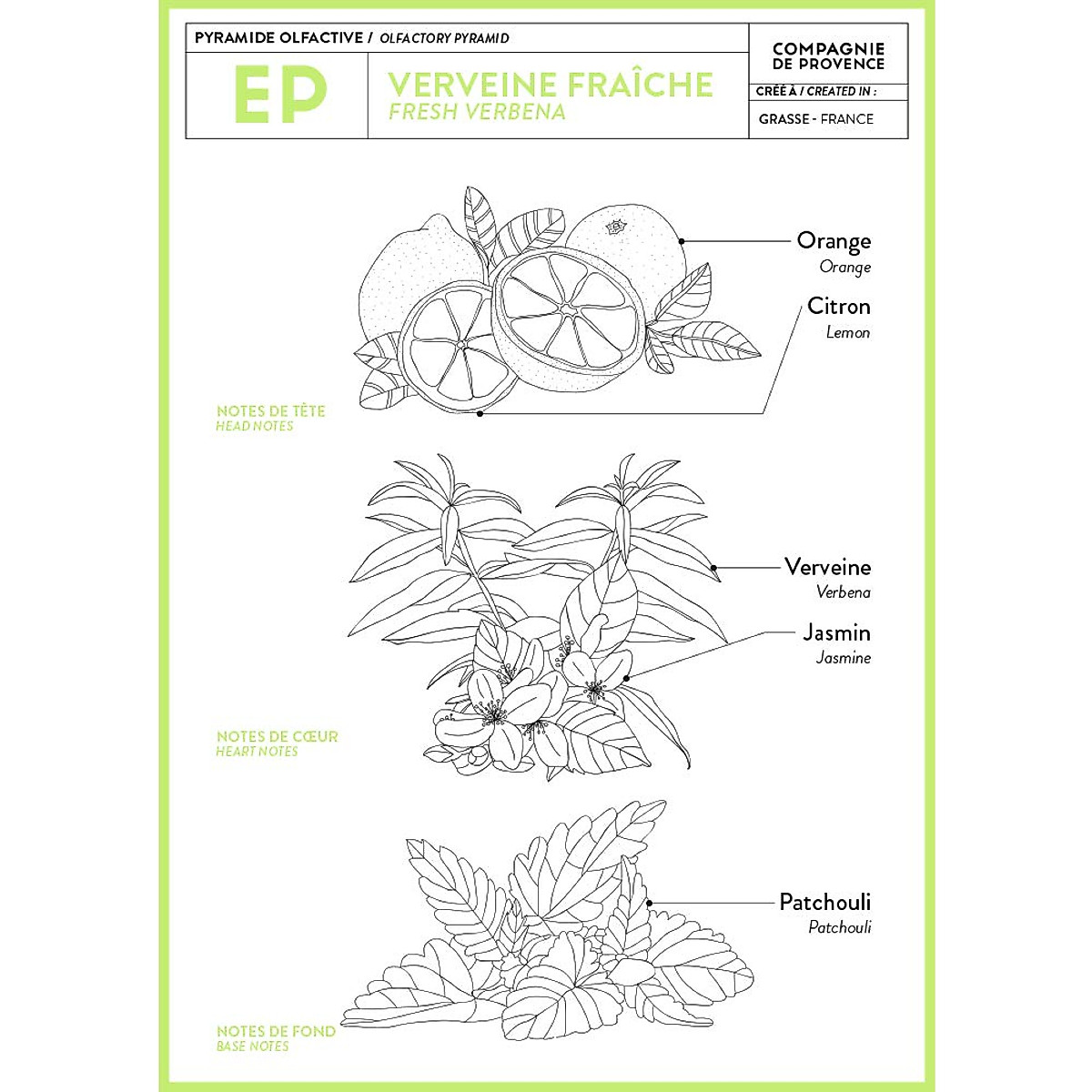 Compagnie de Provence Savon de Marseille Extra Pure Liquid Soap - Fresh Verbena - 16.7 Fl Oz Glass Pump Bottle