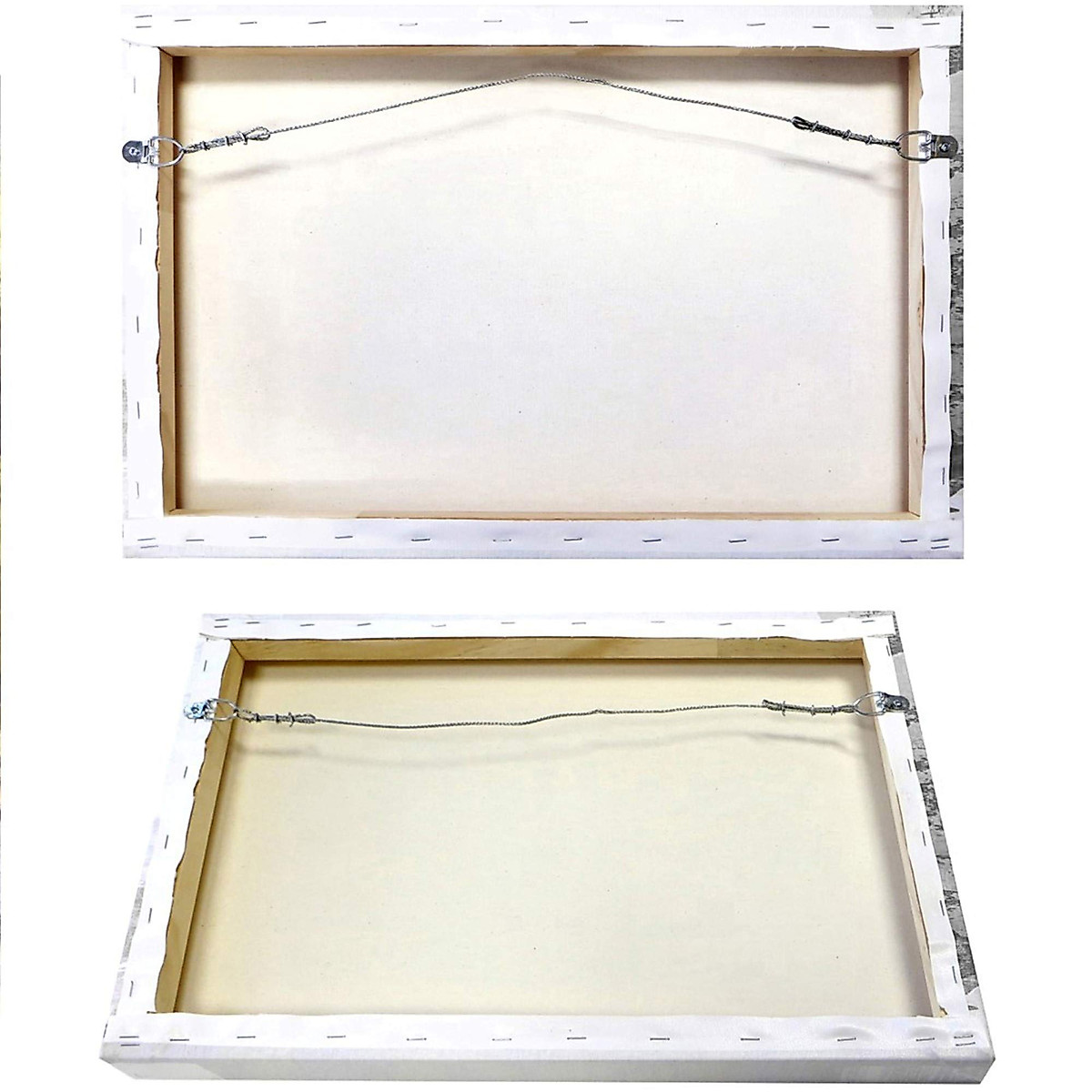 Wynwood Studio Floral and Botanical Wall Art Canvas Prints 'Anemone Mason Jar' Home Décor, 24" x 36", Gold, White