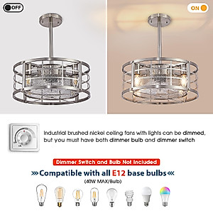 Doltoro Caged Ceiling Fans with Lights and Remote, Industrial Flush Mount Ceiling Fans Light, Small Enclosed Ceiling Fan for Bedroom Kitchen (Brushed Nickel)