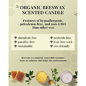 Veda Tinda Scent Vanilla Scented Candles Gift for Women, Beeswax Candles for Home Scented, Strong Scented Candle Keep Your Home Smell Heavenly, 7.4oz Over 55 Hours