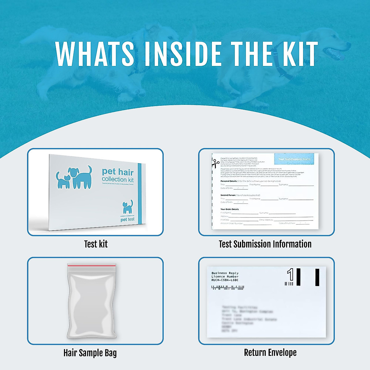 Healthy Stuff Online - Pet Sensitivity and Intolerance Test - Pet, Dietary, Sensitivity, Intolerance, at-Home Testing, Cats, Dogs, Horses - Animal DNA, Fast, Easy, Lab Results