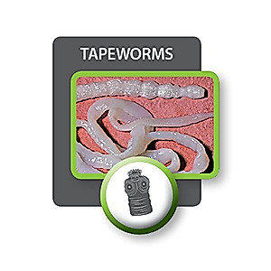 Bayer Animal Health Quad Dewormer for Large Dogs (Over 45 lbs) 2 Chewable Tablets