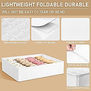 Criusia 11 Pack Underwear Drawer Organizers, Foldable Fabric Closet Cabinet Organization and Tear-Resistant Storage Boxes for Sock, Toys, Underwear, Bra, Clothes, Ties