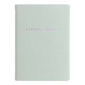 Letts Pastel A5 Address Book, White Paper, 192 Pages, 8.25 x 5.75 x 0.375 Inches, Duck Egg (B090039)
