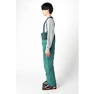 Salomon Men's Standard Brilliant Suspenders, Red, Large