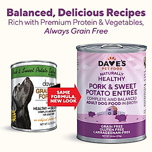 Dave's Pet Food Grain Free Wet Dog Food (Pork & Sweet Potato in Broth), Made in Canada Naturally Healthy Canned Dog Food, Added Vitamins & Minerals, Wheat & Gluten-Free, 13.2 oz (Case of 12)