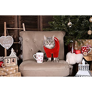 Phyxin Warm Dog Sweater Plaid Pet Knitted Turtleneck XS Puppy Sweaters for Small Dog Knitwear for Dogs Cats in Cold Winter Dog Pullover, Blue M