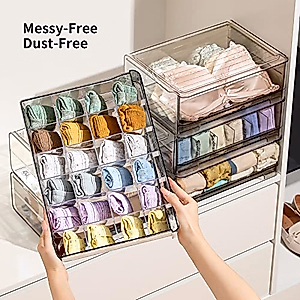 MSHOMELY Sock Underwear Drawer Organizer Divider, 24 Cell Wardrobe Clothes Organizer, Stackable Closet Organizers and Storage, Closet Storage Box with Pull Out Drawer for Socks, Bra, Ties, Belts
