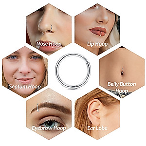LOYALLOOK G23 Titanium Hinged Clicker Segment Nose Rings Hoop Septum Nose Lip Ring Hoop for Women Men Helix Cartilage Daith Tragus Sleeper Earrings Body Piercing Improved 16G Silver Tone