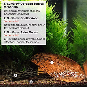 SunGrow Catappa Indian Almond Leaves for Shrimp Aquariums, 4-7 Inches Long Leaf (10 Pcs), Lowers Your Tank's pH and Pet Stress, Creates Better Habitat Environment, Unique Practical Aquarium Tank Decor