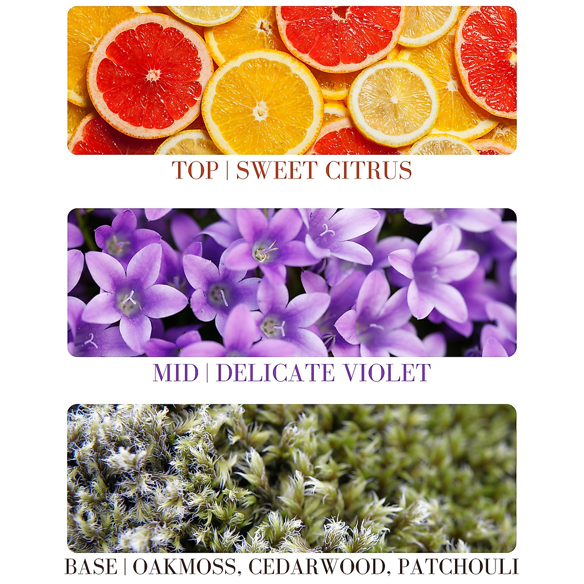 Orange Patchouli Delicious Natural Pure Essential and Fragrance Oil Perfume Roll On with Organic Jojoba Oil, Eau de Toilette, Alcohol Free, Small-Batch, Made in California