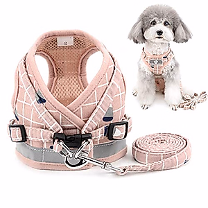 Zunea No Pull Small Dog Harness and Leash Set Adjustable Reflective Step-in Chihuahua Vest Harnesses Mesh Padded Plaid Escape Proof Walking Puppy Jacket for Boy Girl Pet Dogs Cats Pink XS