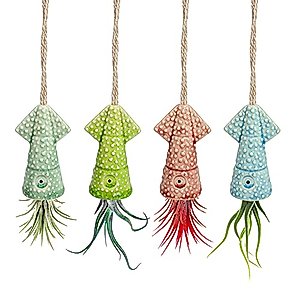 Mimeela 4 Pack Air Plant Holder Unique, Cute Squid Air Plant Hanger Wall Planter, Ceramic Tillandsia Airplants Holders Hanging Wall Decor for Home Office (Squid-Small (1.6 x 3.6 in))