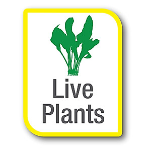 Tetra Stayclean Bio-Bag Cartridge, 1 CT (679084)